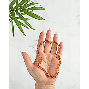 Ambercalm Baltic Amber Necklace - Raw Unpolished Amber Baroque w/Certified Genuine Baltic Amber Cognac 12.5 Inches