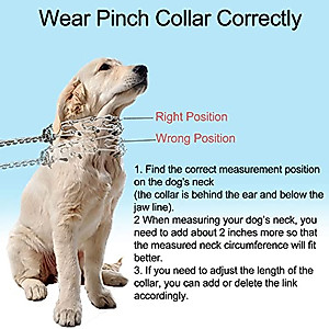 Darkyazi Durable Pinch Collar Stainless Steel Dog Adjustable Pet Training Collar for Medium Large Dogs (Large (Pack of 1), Silver)