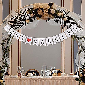 Just Married Wedding Banner Car Decorations (Banner + LED Light + Decal)