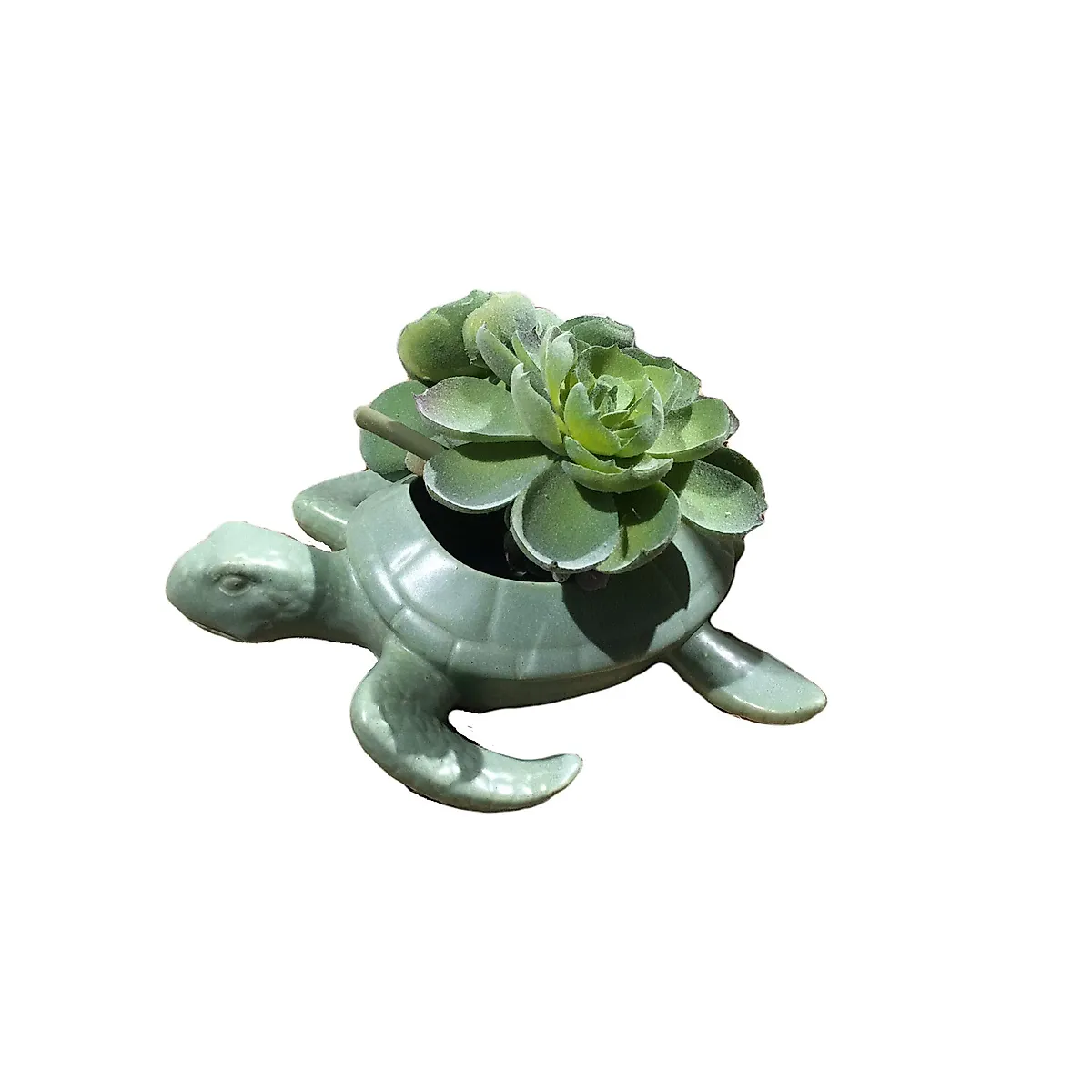 Comfy Hour Ocean Voyage Collection 9" Sea Turtle Succulent Planter Flower Bud Pot Decorative Small Plant Vase, Palegreen, Dolomite