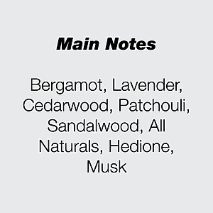 INITIO PARFUMS PRIVÉS - Rehab - 3.04 Fl Oz - Eau De Parfum Unisex - Main notes Bergamot, Lavender, Cedarwood, Patchouli, Sandalwood, all Naturals, Hedione, Musk - 90ml