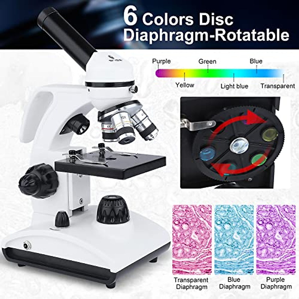 BNISE 100x-2000x Biological Microscope for Science & STEM