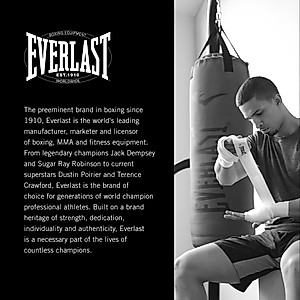 Everlast Universal Heavy Bag Hanger