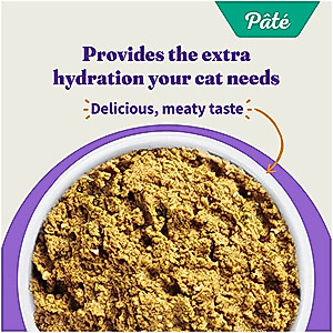 Halo Adult Grain Free Wet Cat Food Pate, Whitefish Recipe, Healthy Cat Food with Real, Whole Whitefish, 5.5 oz Can (Pack of 12)