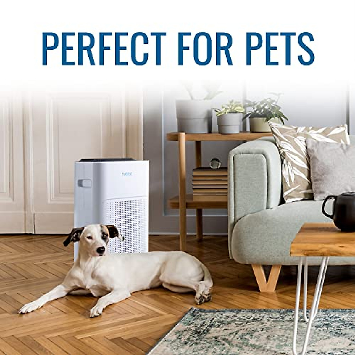 Habitat Medium Room Air Purifier with HEPA 13 Activated Carbon Filtration System, Real-Time Air Quality Monitor and Alert, Whisper Quiet Fan with Three Speeds, Filter Replacement Reminder, White