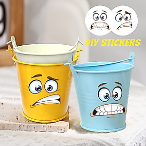 12 Pack Mini Metal Buckets Small Metal Pail Tinplate Tin Pails Containers with Handles for Party Favors and Garden Decorations