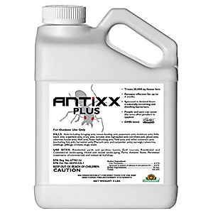 Antixx Plus Ant Earwig Cutworm Sowbugs Pillbug Cricket Slug Snail Killer 5 Pound OMRI Listed