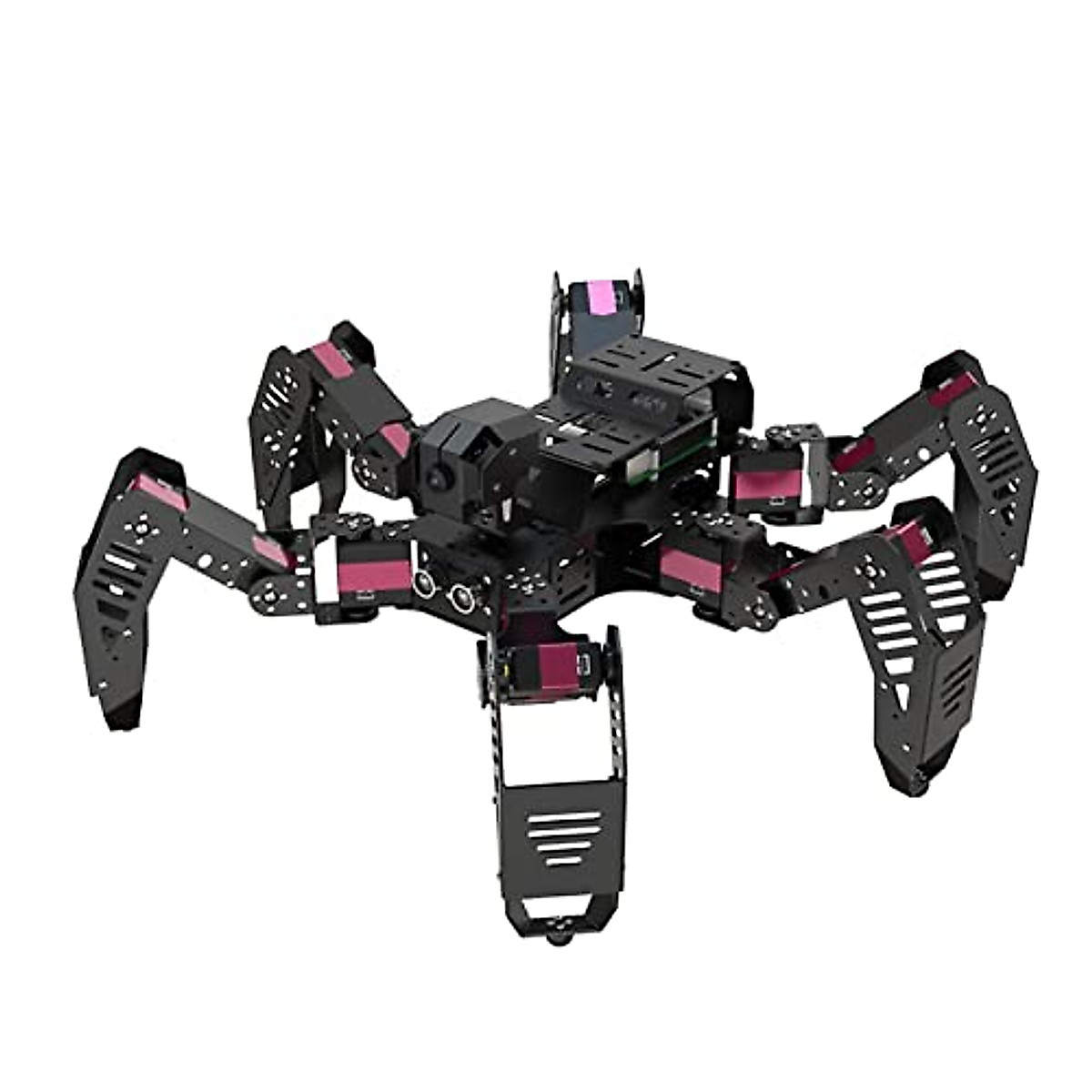 Spider Robot Applicable to Pi 4B Spider Bionic Robot Open Source AI Visual Programming Coding Robotics ( Color : Professional Edition )