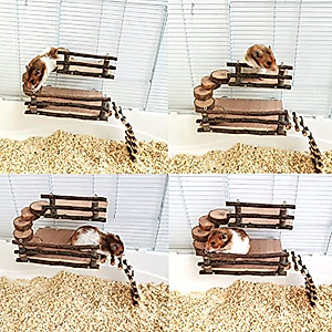 Hamster Climbing Toys, 2 Layer Wooden Activity Platform, Rat Toys, Rat Cage Accessories with Chewing Toys for Hamster Bear Squirrels Hedgehogs Parrots Climbing Ladder