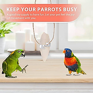 Hemobllo Cuttlebone for Birds- 6 Set Cuttlefish Bones with Metal Holder Parrot Cuddle Bone Chew Toy Pet Molar Toy Cuttlebone for Cockatiels Parakeets (10-12cm)