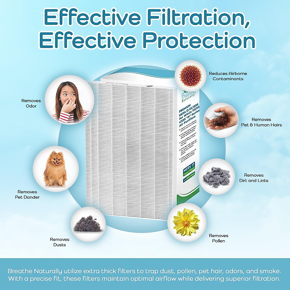 Breathe Naturally Replacement Filters Compatible with Winix C535, Plasmawave 5300, 6300 and Aeramax 300/290 Air Purifiers - True HEPA Filters for Home Purifiers - 12.6" x 16.3" x 1.25" (1 HEPA Filter)