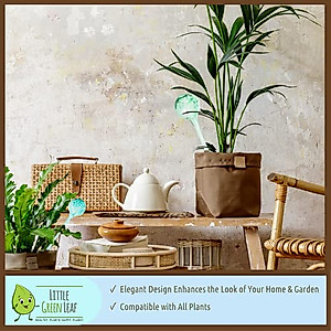 LGL Plant Watering Globes - 2 Pieces. Decorative Self Watering Planter Inserts Made From Hand-Blown Durable Glass. Keep your Outdoors and Indoor Plants Healthy. Ideal Plant Lover Gift (2pk Small)