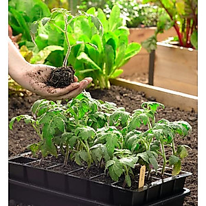 Gardeners Supply Company Seed Starter Kit Set | Organic Self Watering GrowEase Mini Greenhouse Gardening Kit with Seed Starting Mix, 24-Cell Seedling Trays, Wooden Markers and Water Reservoir