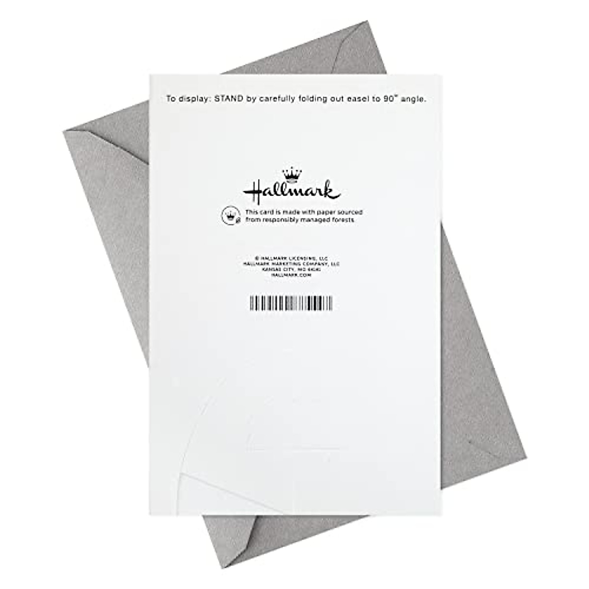 Hallmark Birthday Card for Son (Hangable or Displayable Decoration, Modern Mountains)