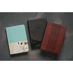 Santa Biblia NTV, Edición compacta, letra grande (SentiPiel, Carbón, Índice, Letra Roja) (Spanish Edition)