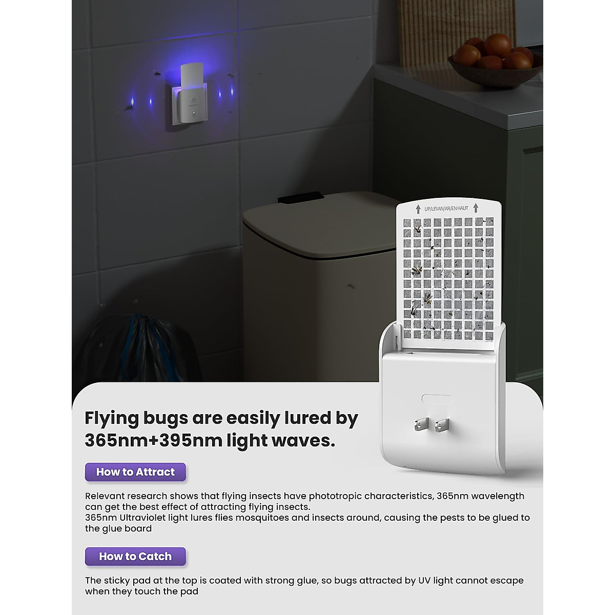 YISSVIC Fruit Fly Sticky Traps 5PCS Gnat Traps Bug Traps Gnat Killer for Indoor Outdoor House Kitchen Mosquitos Flying Insects