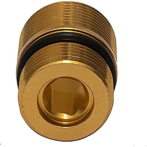 Simpson Cleaning 7110264 Water Oulet Fitting for OEM Technologies 520004 and 520006 Axial Cam Pressure Washer Pumps, Gold