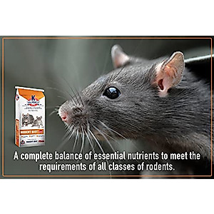 Kalmbach Feeds 18% Rodent Diet Cubed Feed for Rats and Mice in All Life Stages, 50 lb Bag