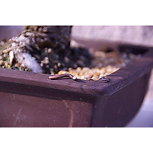 Wire Cutter Bonsai Tools Small 180mm for Professional