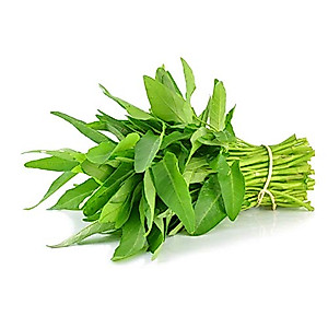Gaea's Blessing Seeds - Ong Choy Seeds - Kong Xin CAI Kangkong - Non-GMO Seeds with Easy to Follow Planting Instructions 94% Germ Rate (Pack of 1)
