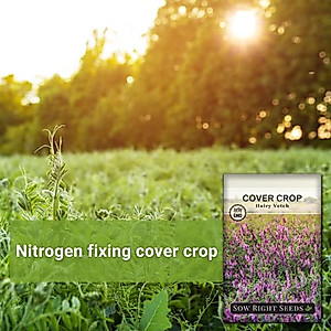 Sow Right Seeds - Hairy Vetch Seed for Planting - Cover Crops to Plant in Your Home Vegetable Garden - Enriches Soil - Suppresses Weeds - Winter Hardy - Non-GMO Heirloom Seeds - A Great Gardening Gift