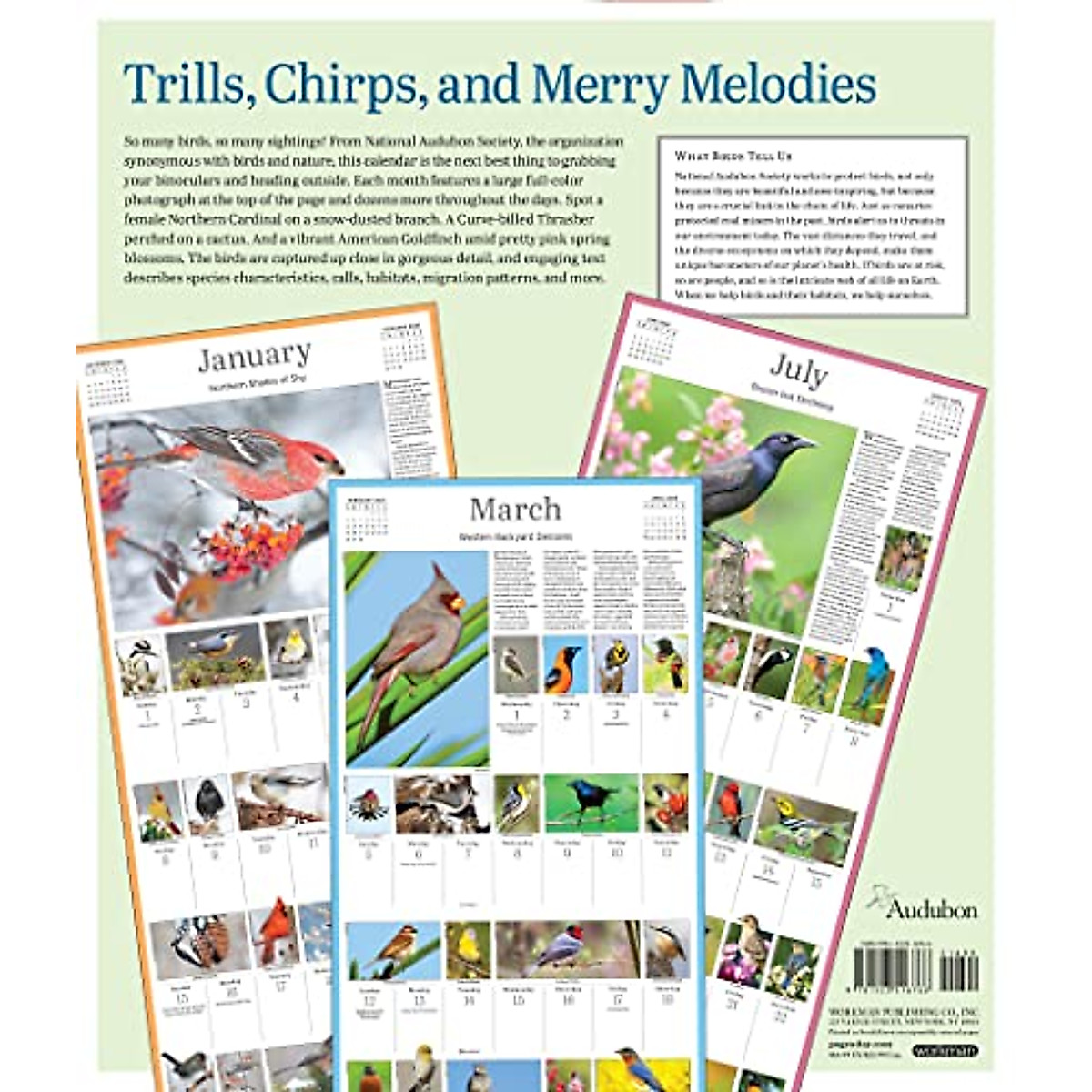 Audubon Songbirds and Other Backyard Birds Picture-A-Day Wall Calendar 2023: A Beautiful Bird Filled Way to Keep Track of 2023