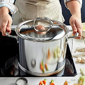 Demeyere Atlantis 7-Ply Stainless Steel Stock Pot, 8.5 quarts, Silver