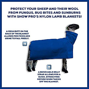 Show Pro Blue Sheep Blanket Mesh Butt for Show Sheep & Lamb - Livestock Supplies for Sheep Cover. Free Ring Out Concentrate for Proven Ringworm & Fungus Prevention Included (Large)