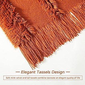 Blagic Extra Soft Throw Blanket for Couch-Lightweight Cozy Blankets and Throws for Bed & Sofa, Decorative Fuzzy Throw Blanket with Tassels(Orange Rust,50 x 60 in)