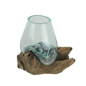 Chesapeake Bay Medium Glass Bowl On Driftwood, Brown, 7.5 Inch