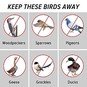 MP mypole Bird Scare Tape Ribbon, 2 * 300 Foot Reflective Tape Ribbon for Birds Woodpecker Scare Reflective Flash Tape Scare Birds Away for Outdoor, House, Garden, Patio, Orchard