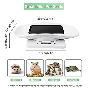 YTCYKJ Digital Pet Scale, Multi-Function LCD Scale Digital Weight with Height Tray Measure Accurately, Perfect for Puppy/Kitty/Hamster/Hedgehog/Food, Capacity up to 22 lb, Length 11inch
