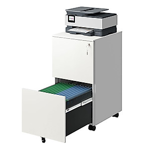 DEVAISE 2-Drawer Mobile File Cabinet with Lock, Commercial Vertical Cabinet in White