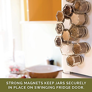 Gneiss Spice Basic Kit | 12 Magnetic Spice Jars Filled With Organic Seasonings (Small Jars)…