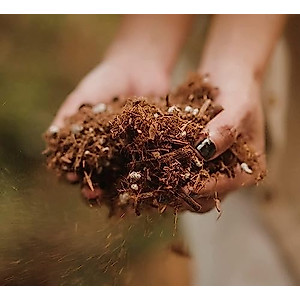 IvyMay Redwoods Potting Soil ― Organic Potting Mix for Indoor House Plants & Aroids, Ready to Use Potting Soil Indoor Plants with Perlite, Earthworm Castings, Essential Oils ― 4 qt