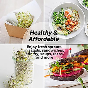 Complete Sprouting Jar Kit| 2 Wide Mouth Mason Jars, 316 Screen Sprout Lids, Blackout Sleeves, Tray, Stand| Sprouter Set for Growing Broccoli, Alfalfa and More-Seeds not Included