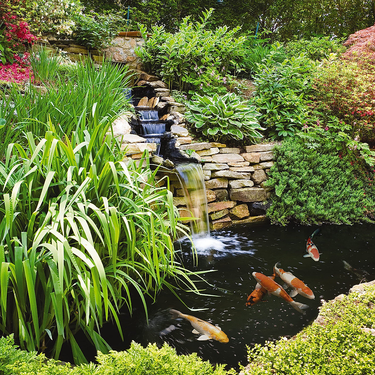 TetraPond Algae Control Treatment For Use With Fish & Plants, 33.8-Ounce