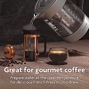 Hot Tea Maker Electric Glass Kettle with tea infuser and temperature control. Automatic Shut off. Brewing Programs for your favorite teas and Coffee.