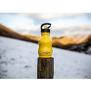 Kids Water Bottle with Straw & Handle, 12 oz Silver- Eco Friendly Toddler Cups with Straws - Easy Sip Metal Water Bottle for Kids - Cute Stainless Steel Water Bottles for Children - Leak Proof Lid