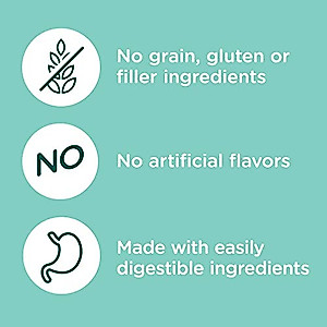 Rachael Ray Nutrish Smoochies Brushes Natural Long Lasting Dog Dental Chews, Apple & Mint, Large Size, 37 Treats, Grain Free