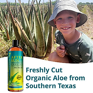 Seven Minerals NEW Cooling After Sun Gel with Aloe Vera - For Skin & Face with Instant Sunburn Relief. Unlike Regular Aftersun Lotion With Cucumber & Vitamin E (12 Fl Oz)