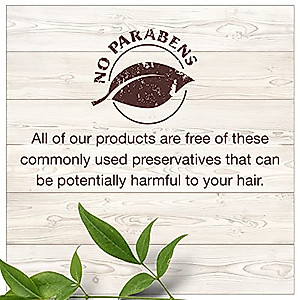 Garnier Whole Blends Moroccan Argan & Camellia Oils Moisturizing Leave-in Conditioner for Dull Hair, 5.1 Fl Oz, 1 Count (Packaging May Vary)