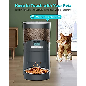 Automatic Cat Feeder, HoneyGuaridan 6.5L Pet Feeder for Cats and Dogs Dry Food Dispenser with Desiccant Bag, Stainless Steel Bowl, 6 Meals Portion Control, Dual Power Supply &10s Voice Recorder