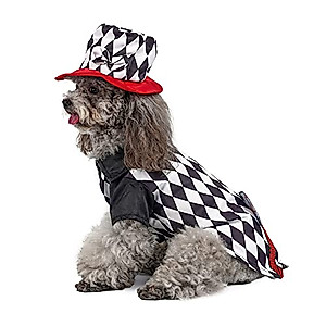 Mogoko Magician Dog Costumes, Pet Halloween Cosplay Jumpsuit with Hat, Adorable Magician Costume, Apparels Warm Outfits Clothes
