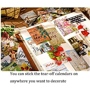 2023-Mini-Tear-Off-Calendar-2023-Calendar-Tear-Off-Tabs,365 Days DIY Journal Mini Tear Off Calendar (The World of Flowers)