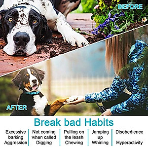 Dog Shock Collar with Remote for Large Medium Small Dogs, DiroPet Training Collar for Dogs with Beep/Vibration/Shock Modes, Adjustable Collar, 1000ft Remote Range, Rechargeable, IPX7 Waterproof