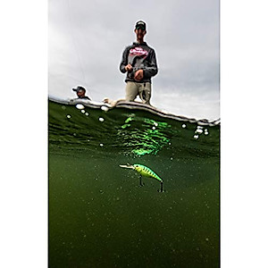 Berkley Flicker Shad Fishing Lure, Pearl White, 3/16 oz, 2in | 5cm Crankbaits, Size, Profile and Dive Depth Imitates Real Shad, Equipped with Fusion19 Hook