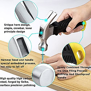 376pcs Hardware Nails Assortment Kit and 8oz Small Claw Hammer,Mini Hammer with Anti-Slip Handle,Nails for Hanging Pictures,Maximum Length 2 Inches Nails,Finishing Nails for Household and DIY