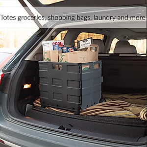 SCKTFS Simplify Tote Collapsible Utility Cart carro multiusos con ruedas carrito plegable con ruedas