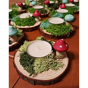 Natural Wood Slices 30 Pcs 3.5-4 Inches Craft Unfinished Wood Kit Predrilled Wooden Rounds with Bark, Wood Circles with Hole, Wood Slices for Crafts Ideal for DIY Projects, Christmas Ornaments